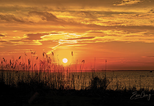 coastal photo | New Bern Magazine